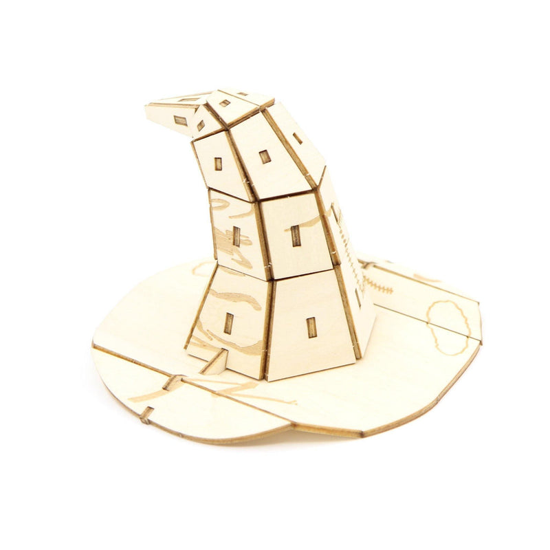 Harry Potter Sorting Hat Drawing