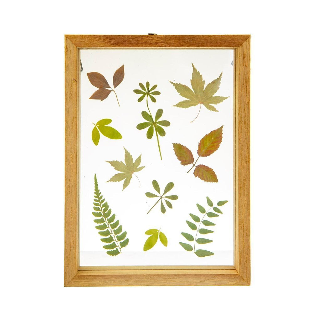 Photo Frame - Herbarium Leaves Floating Frame I Klosh Home Decor